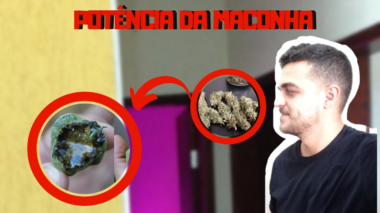 Faça isso e aumente a POTÊNCIA DA SUA MACONHA ( Bud, Natural ...