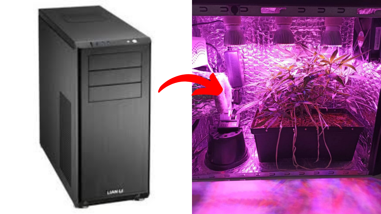 3 Dicas para montar um pc grow ou um cultivo indoor barato - Plantando Bem